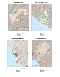 Invasive Plant Control – Groundswell Coastal Ecology